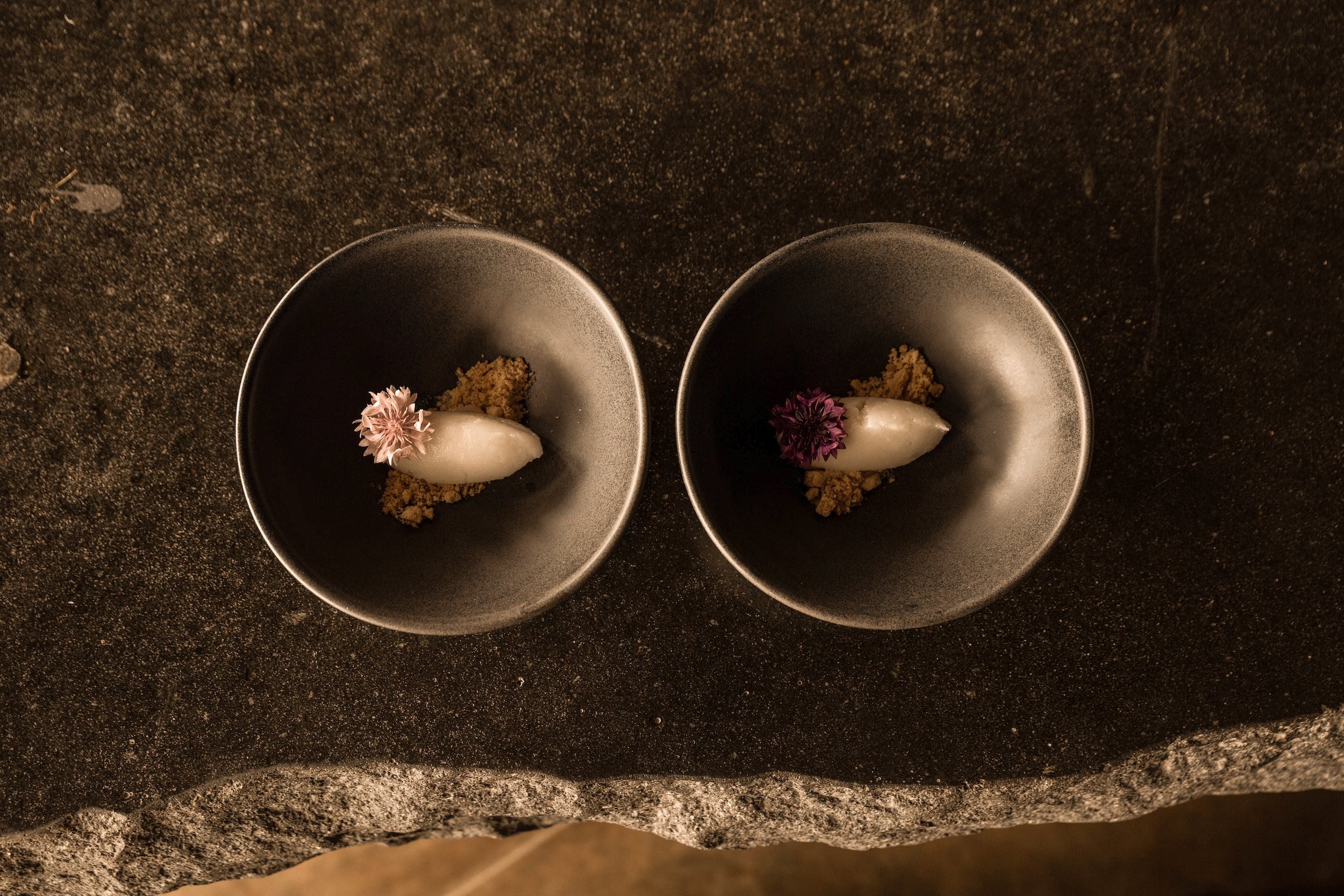Casa Silencio: A Luxurious Mezcal Retreat in Oaxaca, Mexico - THE ...
